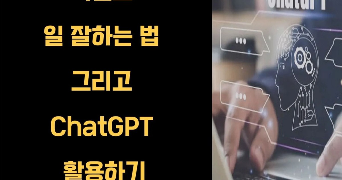 CLASS101 | 엑셀로 일 잘하는 법 : 기초, 함수, 그리고 ChatGPT 활용법 (자가발전소)