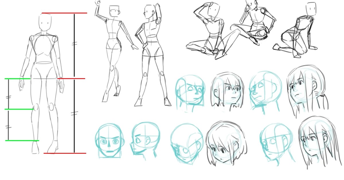 CLASS101+ | An intro course on human body structure to learn the basics ...