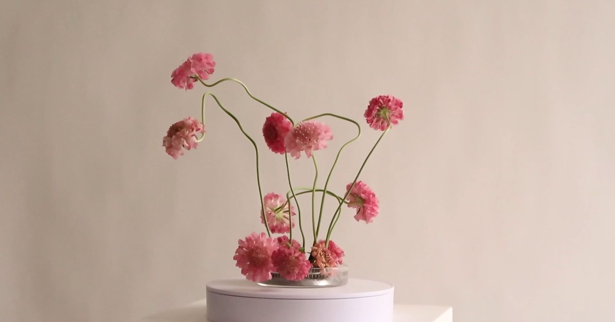 CLASS101+ | Dldah's daily flower art