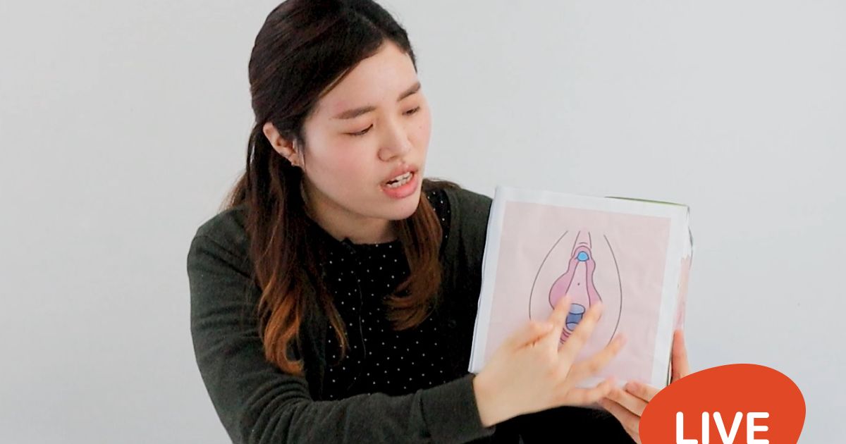 CLASS101 + | [3/27 11AM] 클레이로 배우는 눈높이 성교육, 내 몸 알고 사랑하기