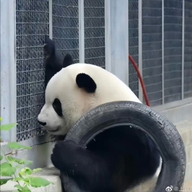 CLASS101 | CLASS101+ | 14 Days free trial