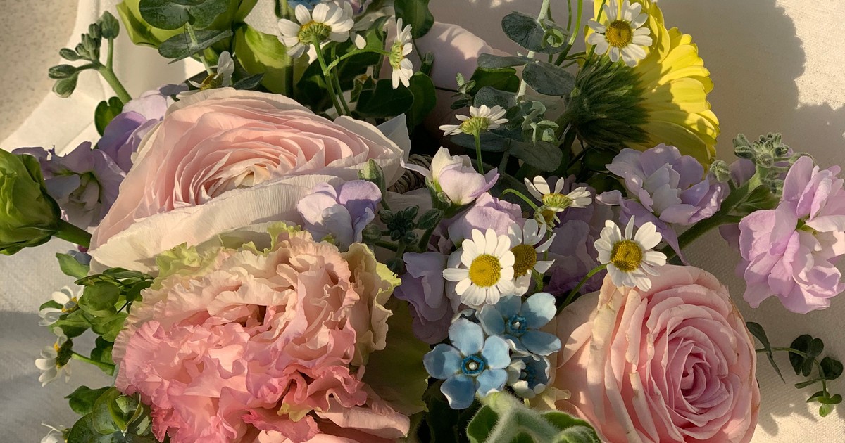 CLASS101+ | 감성 SNS 입문자들을 위한 클래스