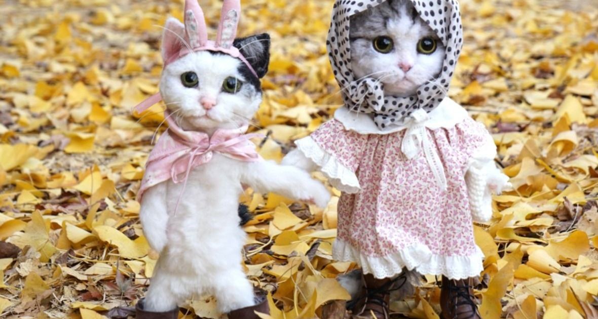 CLASS101+ | Mummou! Kitty, it really looks like it, right? Cute friends ...