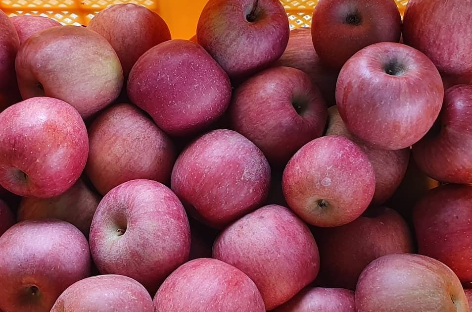 CLASS101 | 맛보지 못한 명품 100% 사과주스