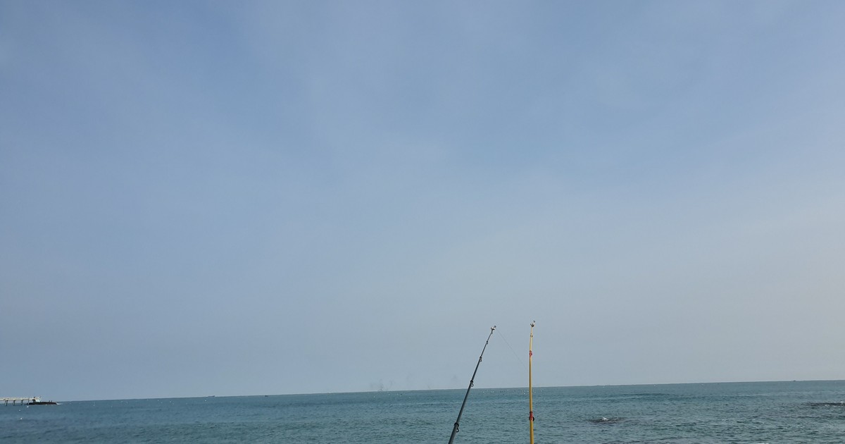 CLASS101+ | do_do,Life