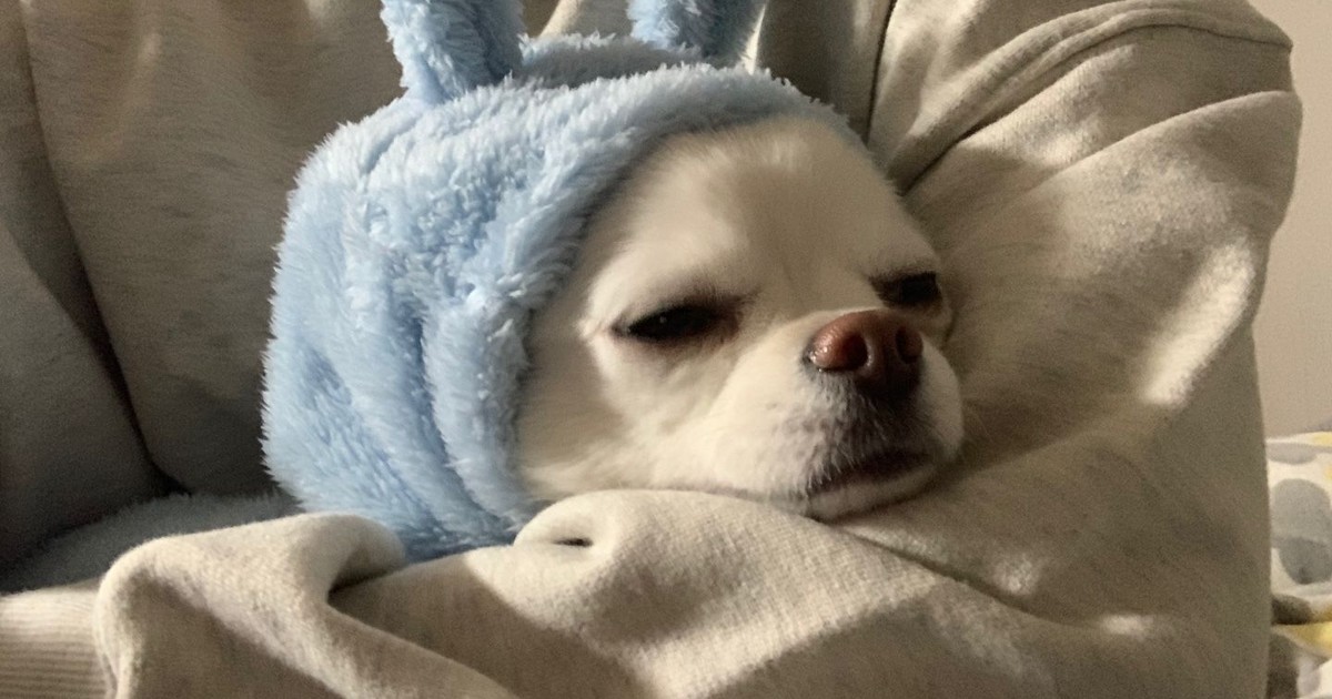 CLASS101+ | 21년의 봄