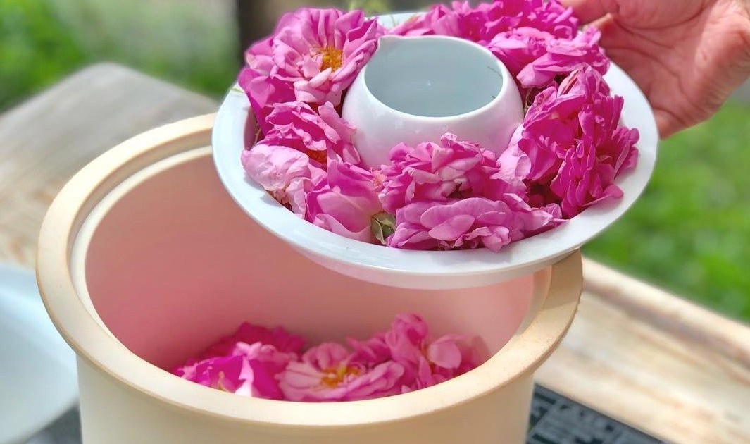 CLASS101+ | Let's make “scented water” (aromatic distilled water) in a pot