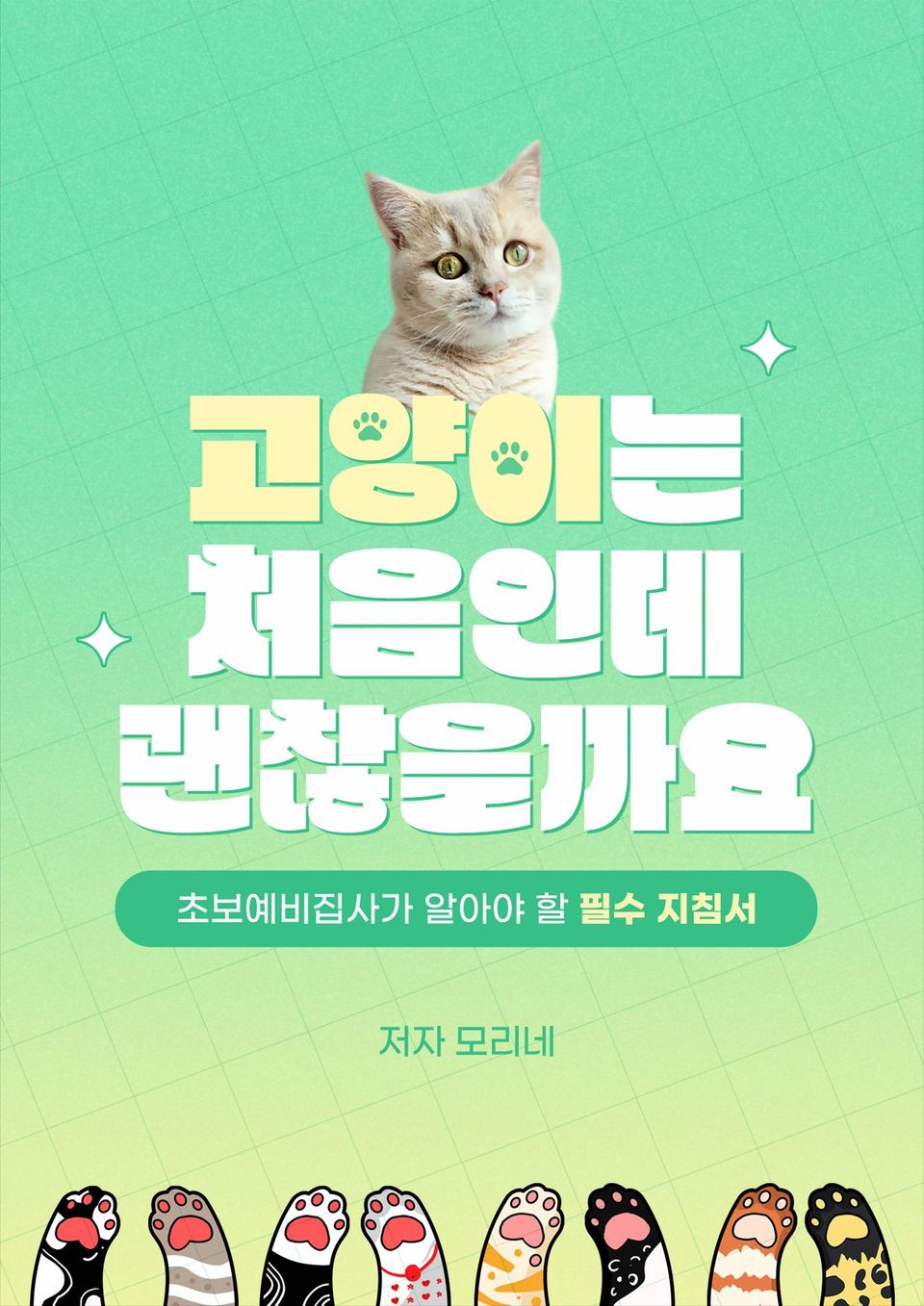 CLASS101 | 고양이는 처음인데 괜찮을까요