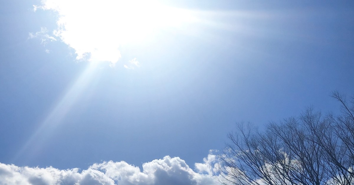 CLASS101+ | 101클래스